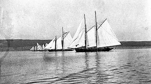 1879 - The History of Little Bay