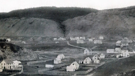 1883 - The History of Little Bay