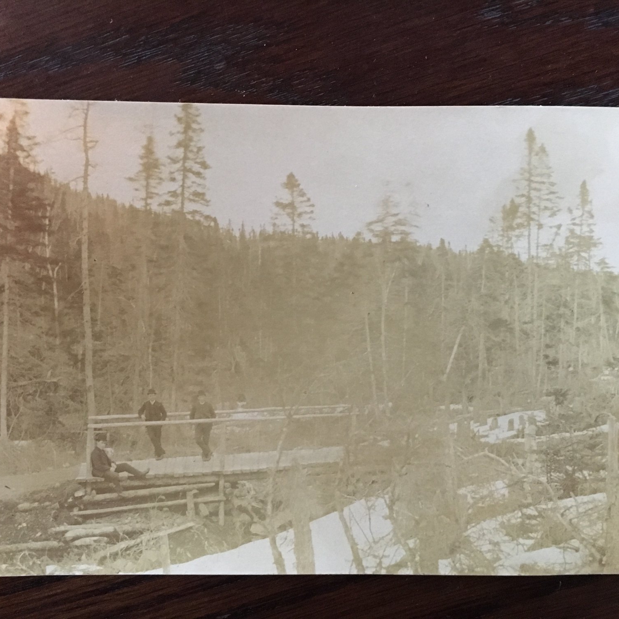 The Town - The History of Little Bay