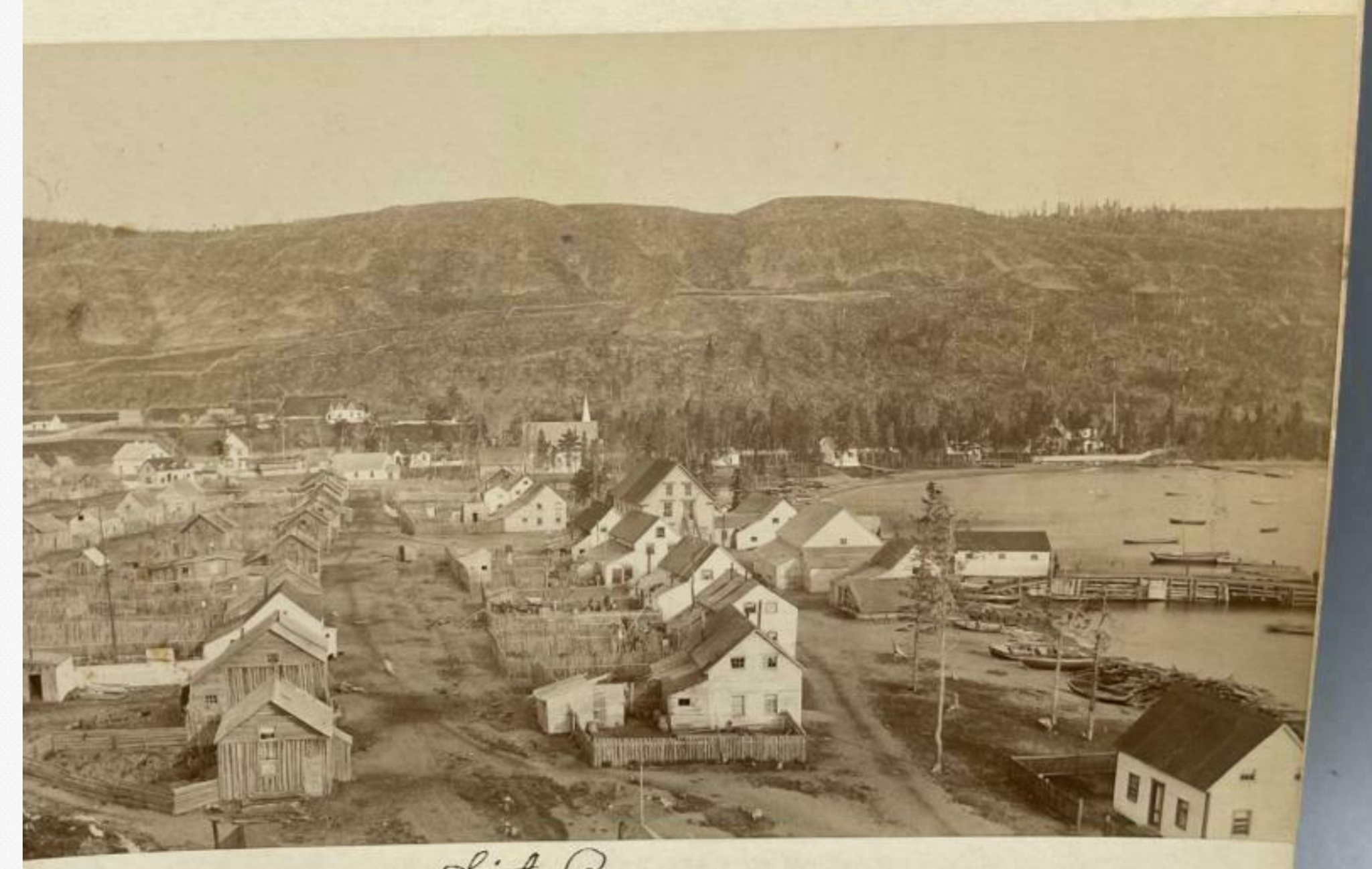 Richards - The History of Little Bay