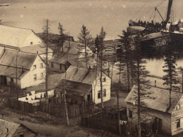 Home - The History of Little Bay