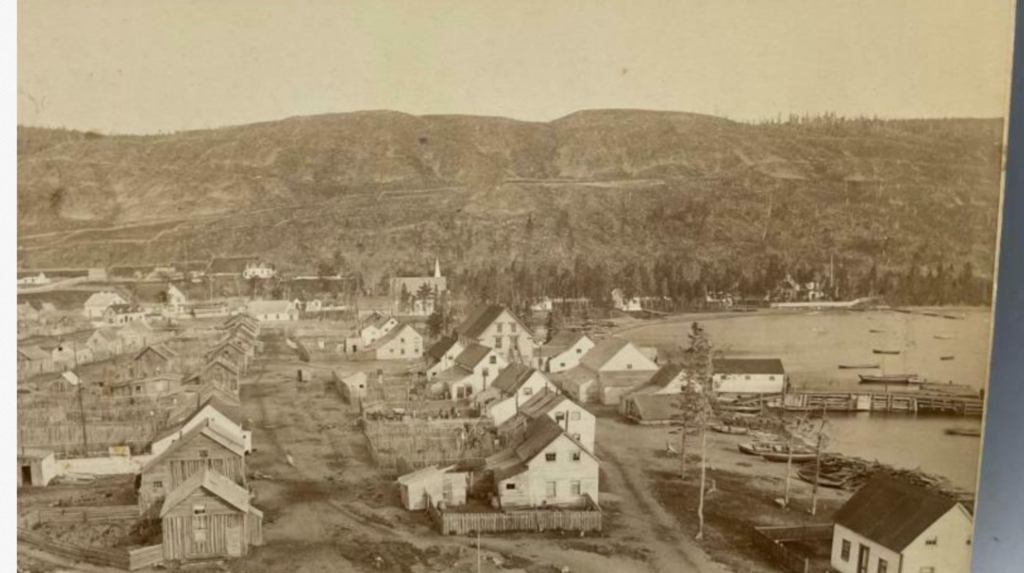 Posts - The History of Little Bay